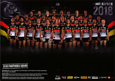 PENRITH PANTHERS NRL TEAM POSTER,RUGBY STORM, DOGS EELS RABBITOHS ...