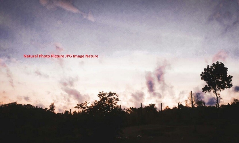 Twitter Header Tumblr Nature
