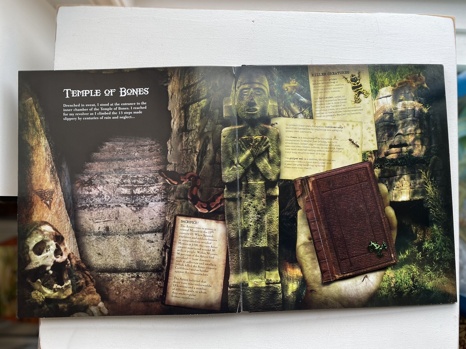 The Book Of Bad Things Book A Sinister Guide To History’s Dark Side | eBay