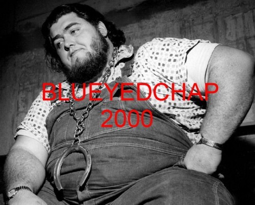 HAYSTACKS CALHOUN WRESTLER 8 X 10 WRESTLING PHOTO NWA WWWF | eBay