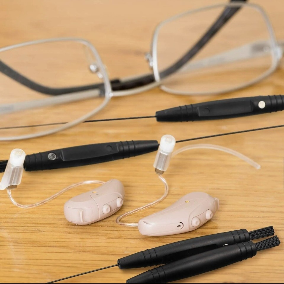 10 Packs Multifunctional Hearing Aid Cleaning Kits with Brush and Wire ...
