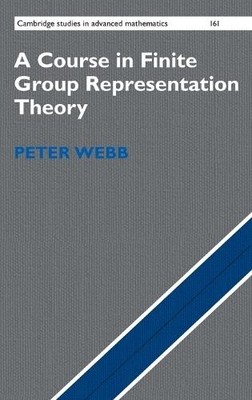Peter Webb A Course in Finite Group Representation Theory (Copertina rigida) | eBay