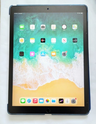 Apple iPad Pro 2nd Gen. 256GB Wi-Fi 12.9 in - Space Gray More Perfect ...
