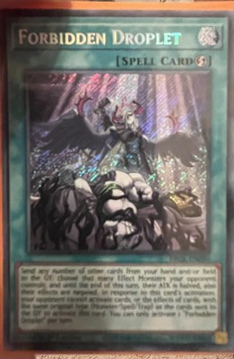 Yu-Gi-Oh! TCG Forbidden Droplet Brothers of Legend BROL-EN090 1st ...