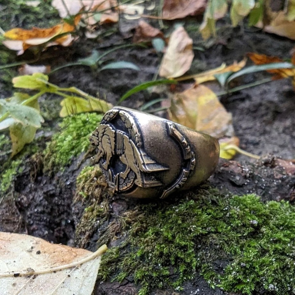 Ukraine Special Forces Ukrainian military war ring bronze morale amulet ...