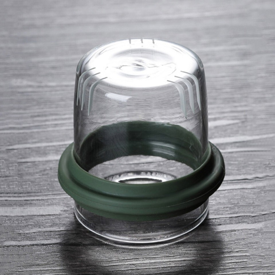 -One Travel Tea Set Portable Glass Tea Set with Carrying Case (Green ...