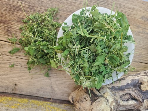 Dried Chickweed - Grown in USA - Stellaria media - Infused Oil - Skin ...