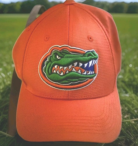 Florida Gators Top Of The World Memoryfit | eBay UK