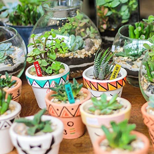 Plant Labels For Seedlings 500pcs Plant Tags Markers Plastic Garden ...