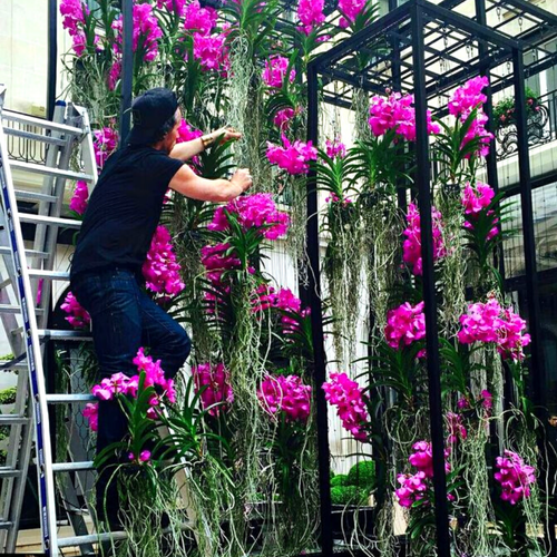 Vanda Pots Plastic Floating Flower Garden Orchid Wall Indoor Plants ...