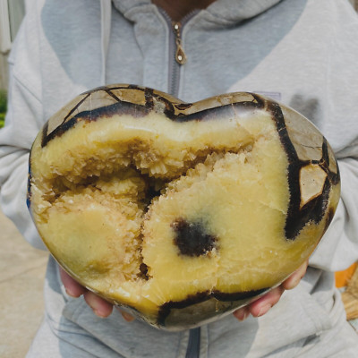 11.0lb Natural Septarium Dragon's Stone Septarian Crystal Rough Mineral ...