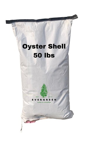 Evergreen Farm and Garden 50 lb Bag Oyster Shell - Calcium Rich Bird ...