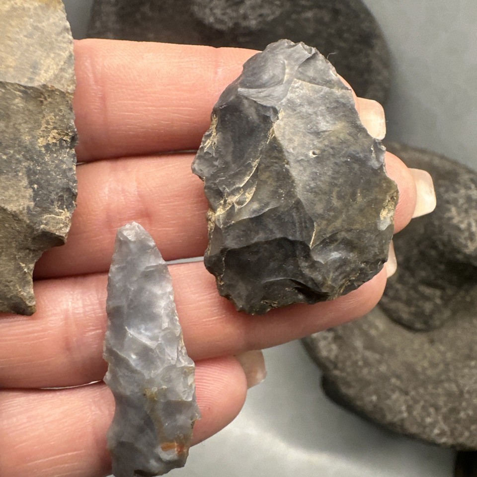 MLC 550 (7) Archaic To Adena Arrowheads Old Ohio Artifacts | eBay