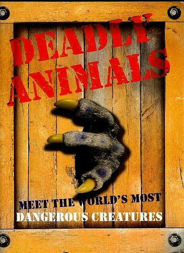 DEADLY ANIMALS-DANGEROUS CREATURES~NILE CROCODILE-JELLY FISH-FIELD ...