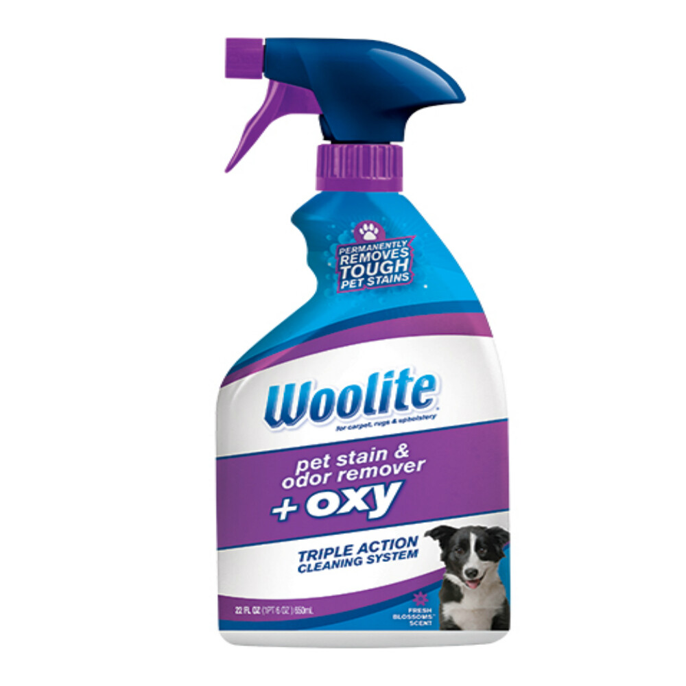 Woolite 0890 Carpet Pet Stain & Odor + Oxy Spray, 22 Oz | eBay