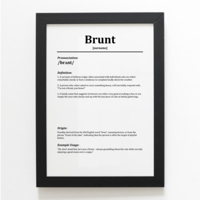 A3 PRINT - Brunt - Funny Humorous Family Surname Definition | eBay ...