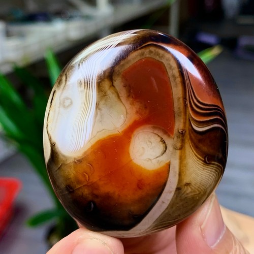 59G Natural Polished Silk Banded Lace AgateCrystal Sardonyx Carnelian ...