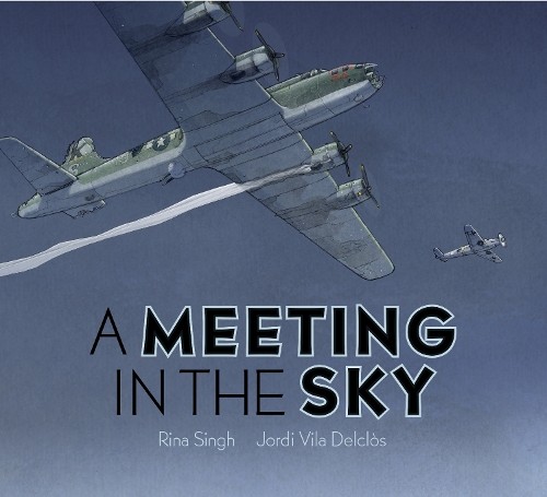 Rina Singh A Meeting in the Sky (Hardback) 9781568463100| eBay