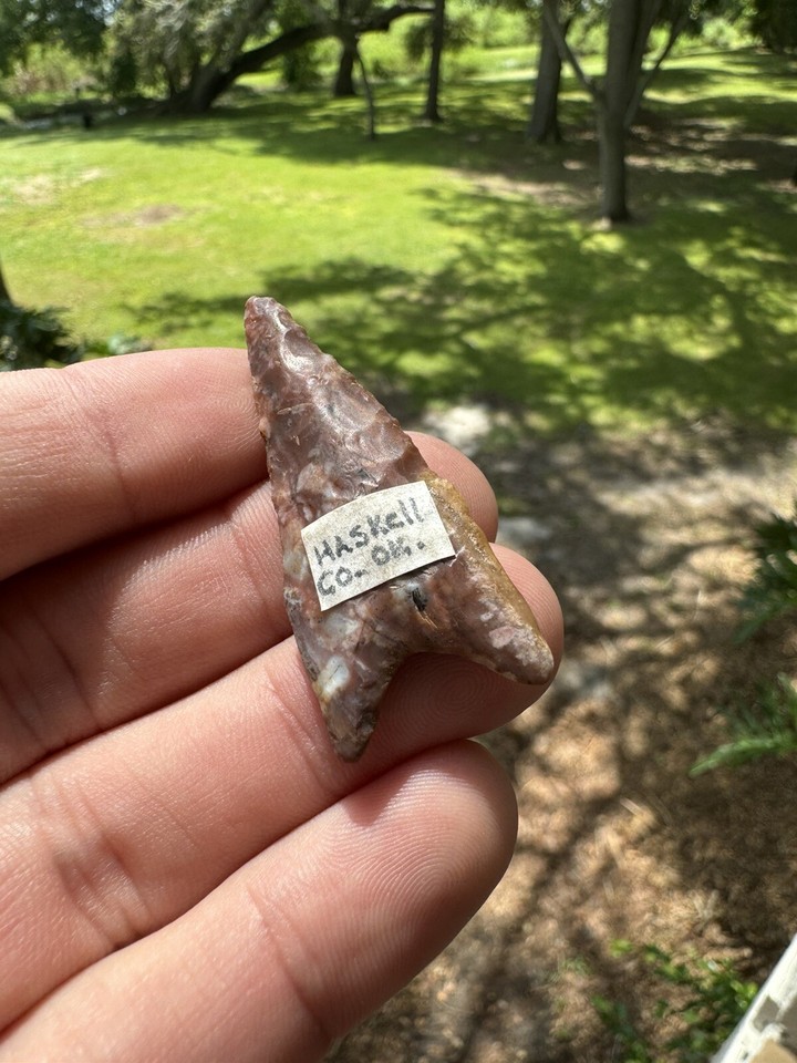 Native American Late Paleo Early Archaic Colorful Dalton point ...