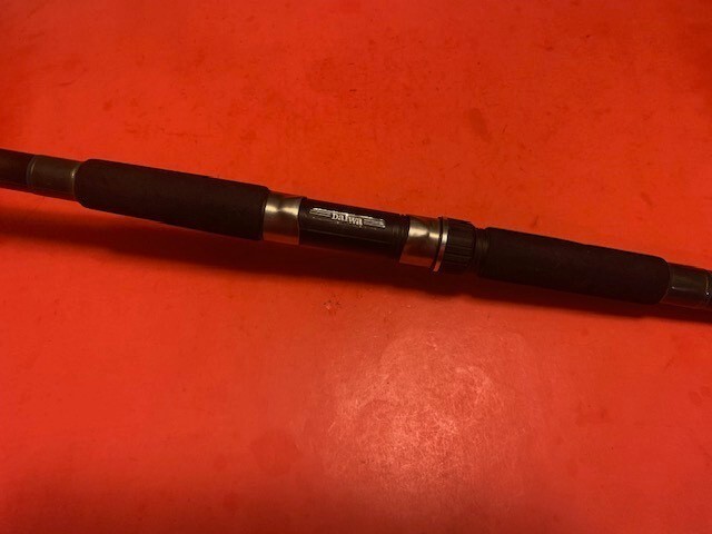 DAIWA ELIMINATOR 12 FOOT 17 TO 40 POUND RATED 2-PIECE SURF/SPINNING ...