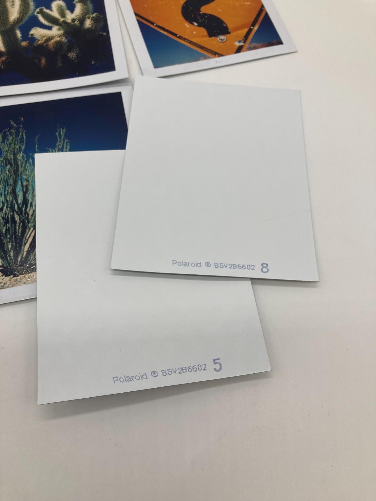 Polaroid photograph bundle x 8 USA America Southwest 1990s cacti rocks ...