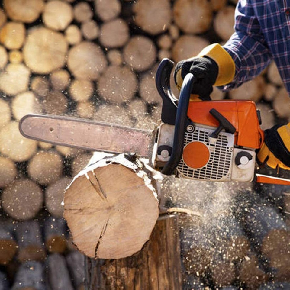 2PCS 10" Chainsaw Chain Blade For RYOBI P540 P542 RY52504 RY15520 .043 ...