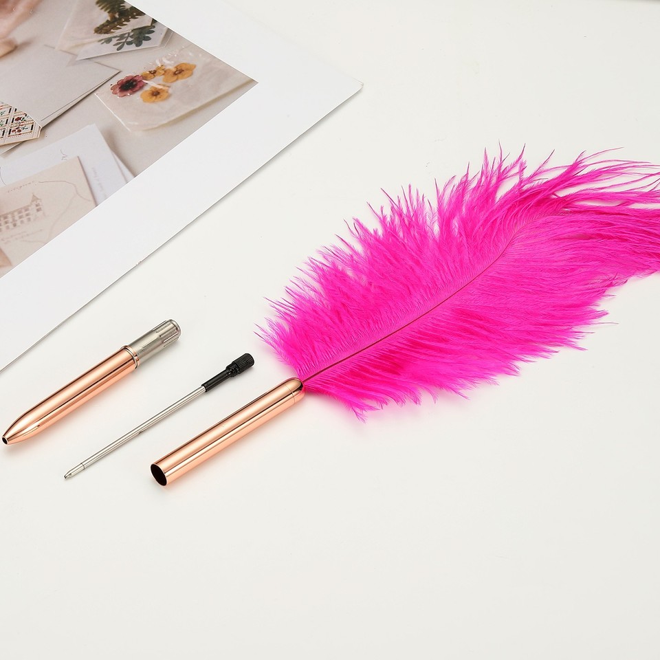 Feather Ballpoint Pens Bulk, Writing Pens Style 1, Purple | eBay Australia