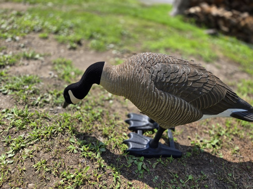 Hollow Hunting Decoy Goose Big Foot Original Used Geese | eBay