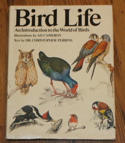 Bird life: An introduction to the world of birds By Ad Cameron. | eBay