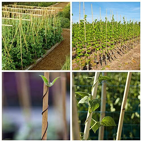 25 Pack Natural Bamboo Poles Plant Support Garden Stakes for Tomatoes ...