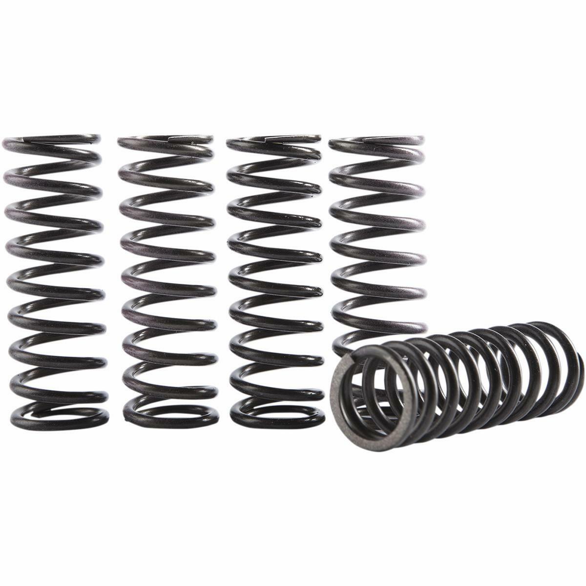 Hinson Racing - CS069-5-001 - Hi-Temp Clutch Spring Kit for sale online ...