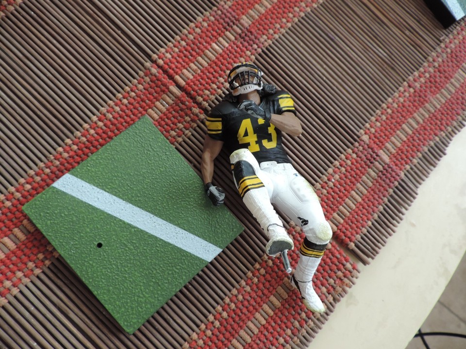 LOOSE NFL MCFARLANE: MCFADDEN, POLAMALU, IRVIN, HESTER, DAV IS, GATES ...