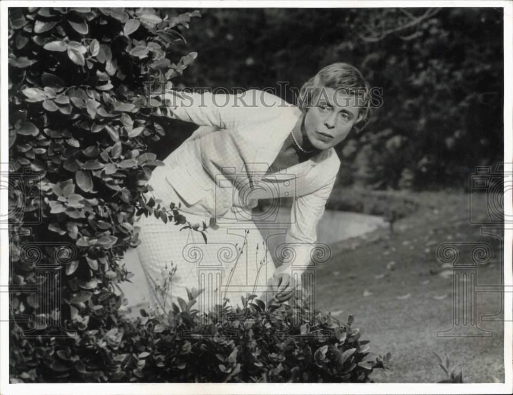 Nancy Kulp Actress 60 Photos - Moonagedaydream.film
