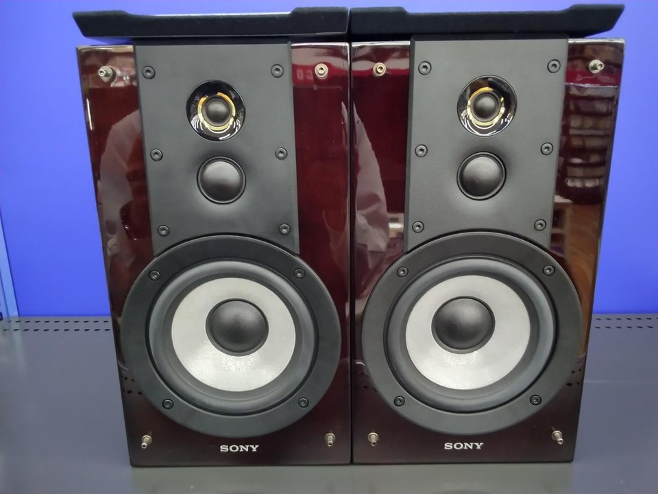 Sony SS-HW1 3-Way Hi-Res Speaker System Super Tweeter Pair | eBay