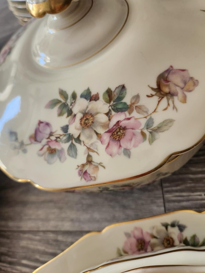 Vintage 1900s German 43 Piece Dinnerware Set Heinrich&Co | eBay