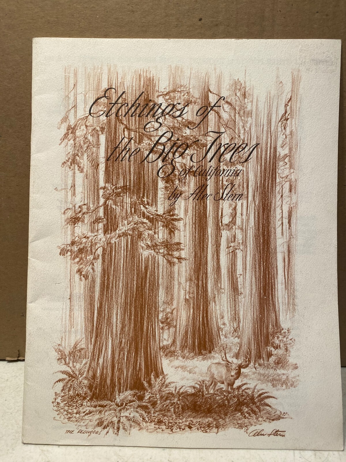 Etchings of Big Trees of California By Alec Stern 8.5" x 11" Renowned ...