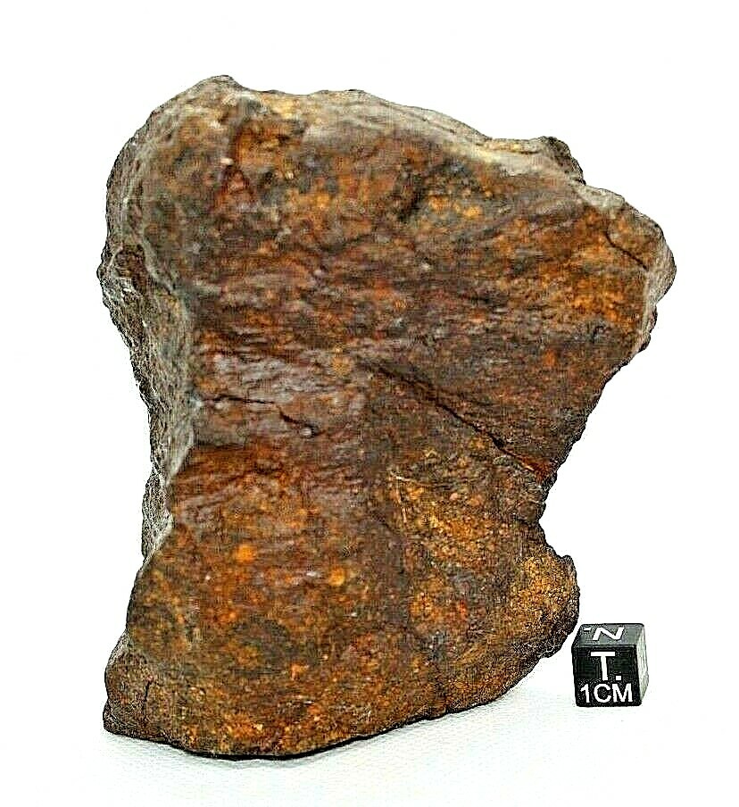 Meteorite NWA 13242 L4 Chondrite meteorite 619 grams | eBay