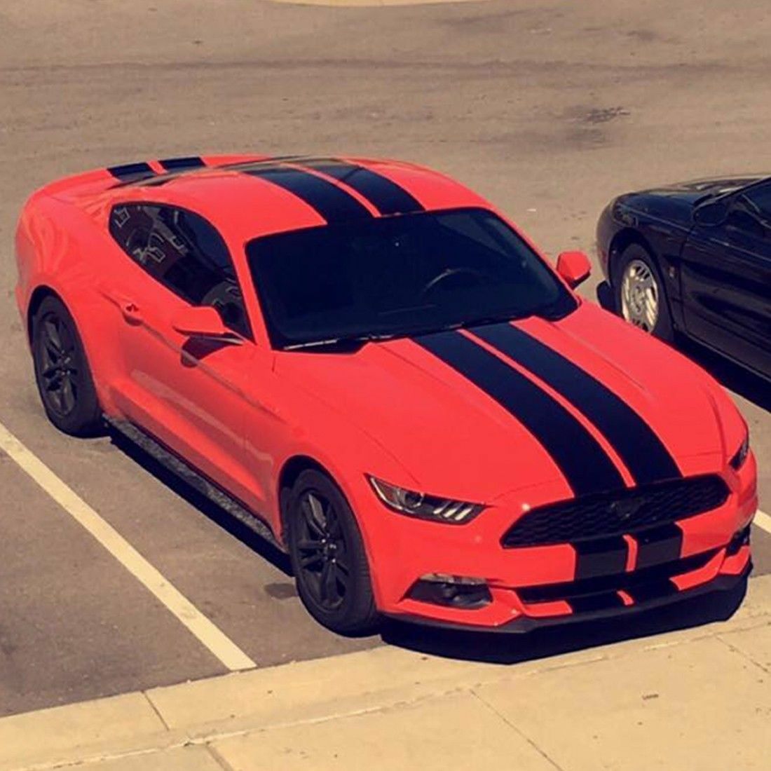 Rocket Sticker Stripe Kit for Ford Mustang GT Trunk Bumper Splitter ...