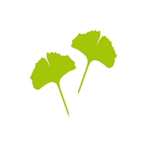 1 Pair 2 Foliage 10cm Green Ginkgo Sheets Sticker Tattoo Gingko ...