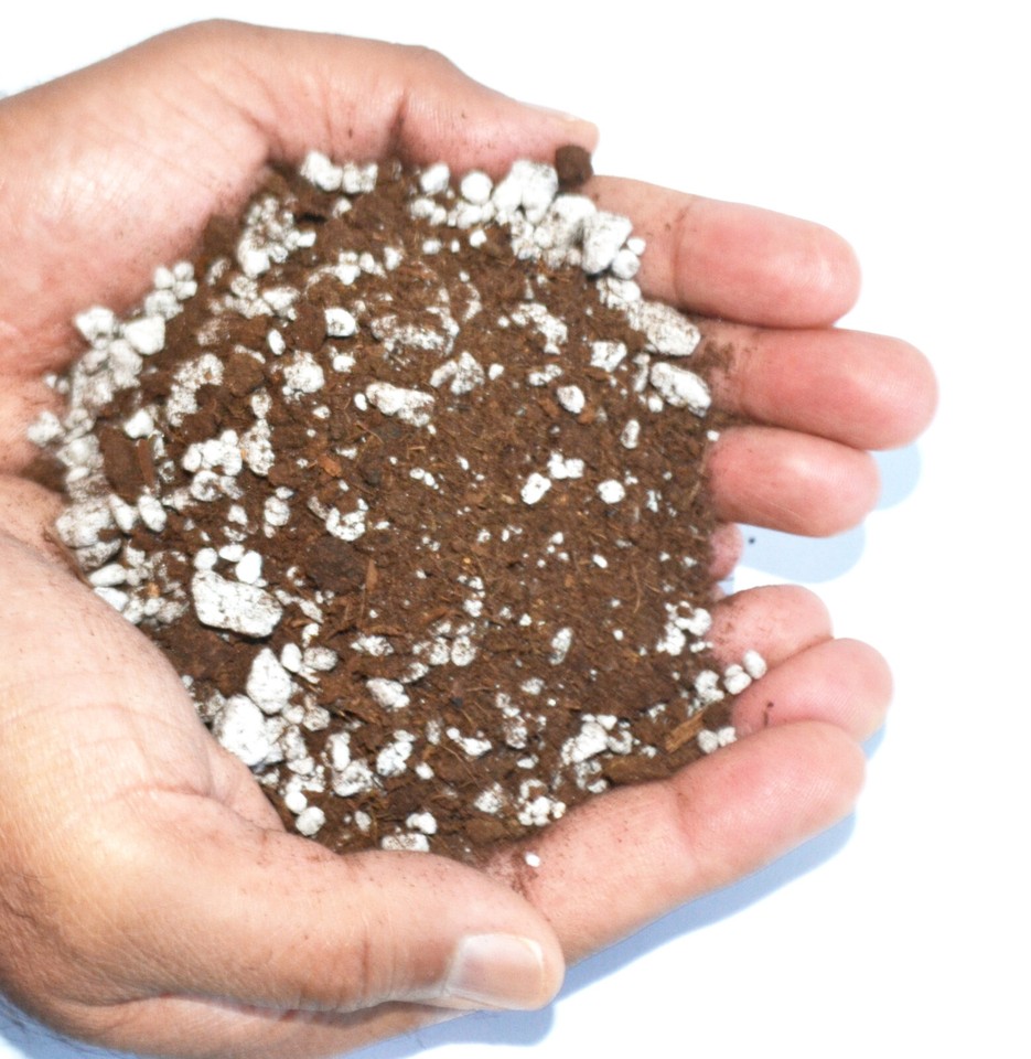 1qt - 4 qt | Carnivorous Soil | Peat Moss Perlite Potting Mix | FREE ...