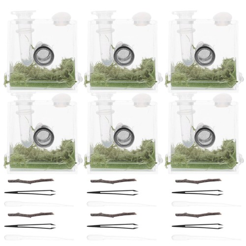 2 Sets Jumping Spider Breeding Box Baby Micro Habitat Spiders As Pets ...