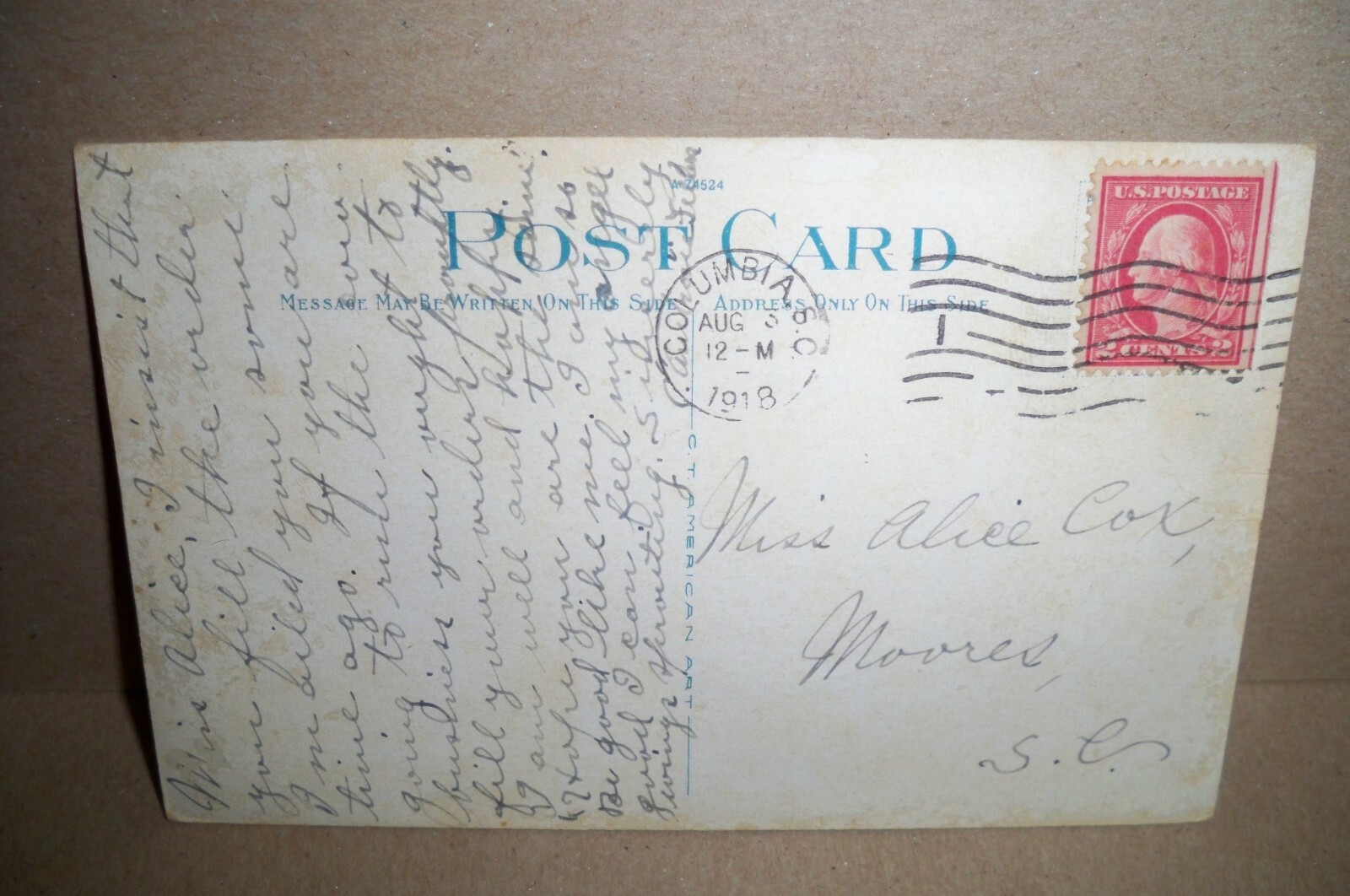 US 1918 Columbia SC 2c Washington Used Flag Cancel Red Line Stamp | eBay
