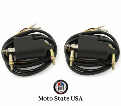 2X SUZUKI GS1150 GS1100 GS1000 GS850 GS750 12V 4ohm Dual Output ...