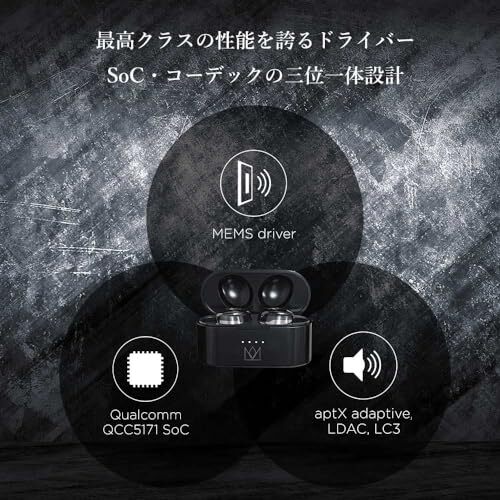 Noble Audio FALCON MAX NOB-FALCONMAX-B Wireless Bluetooth Earphones | eBay