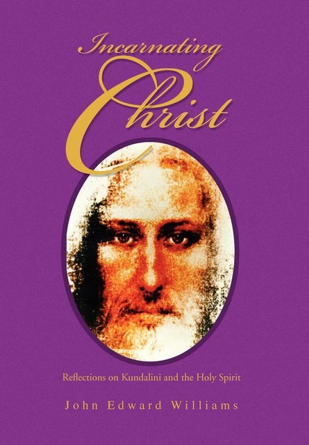 Incarnating Christ von John Edward Williams (2009, Gebundene Ausgabe ...