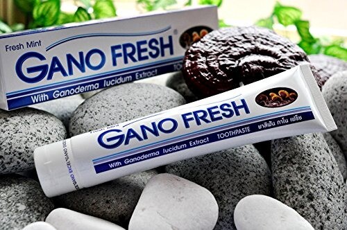 50 TUBE GANO EXCEL GANO FRESH TOOTHPASTE GANODERMA 150 GRAMS EXPRESS ...