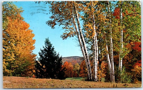 Postcard - A Typical New England Fall Scene, USA | eBay
