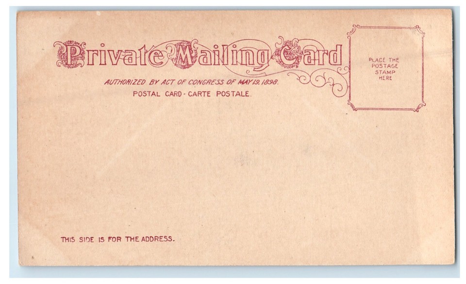 c1900s City Hall and Buildings Photo Electrotype Engraving Co PMC ...