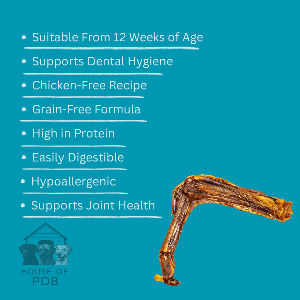 Duck Wings | eBay UK