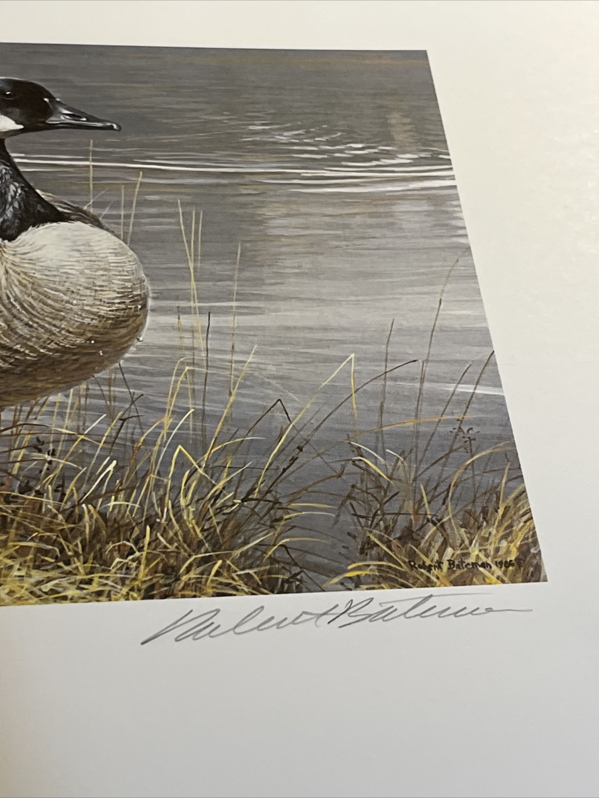 1987 National Fish Wildlife Foundation 4679/15,294,Robert Bateman ,Mint ...